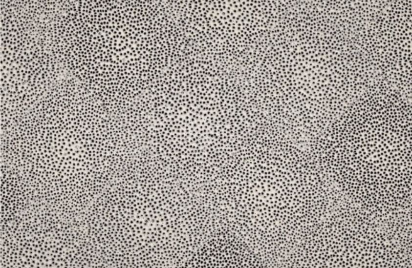 karuun® shine – karuun®